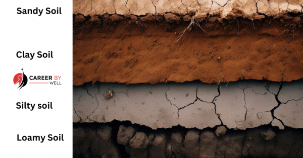 Types Of Soil - CareerByWell