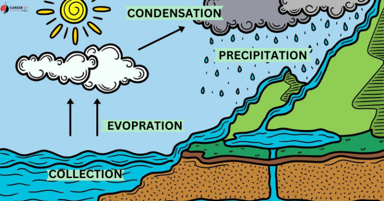 Water Cycle - Meaning, Stages And Importance - CareerByWell