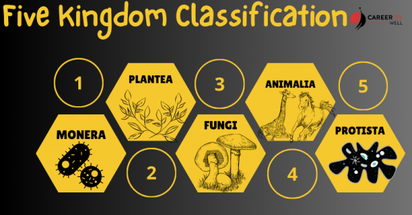 Five Kingdom Classifications Of Living Organisms - CareerByWell