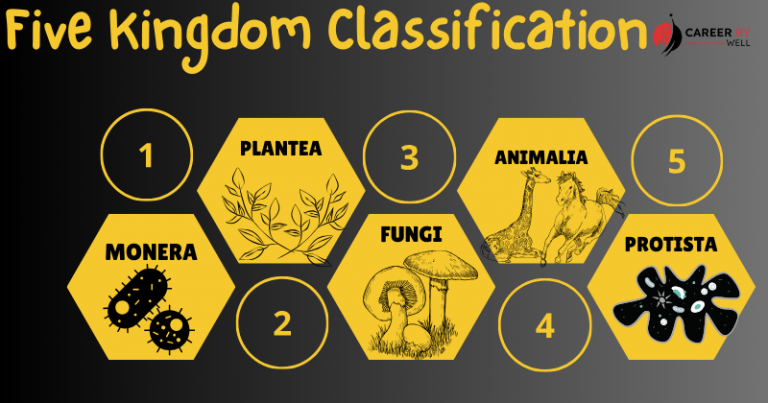 Five Kingdom Classifications Of Living Organisms - CareerByWell
